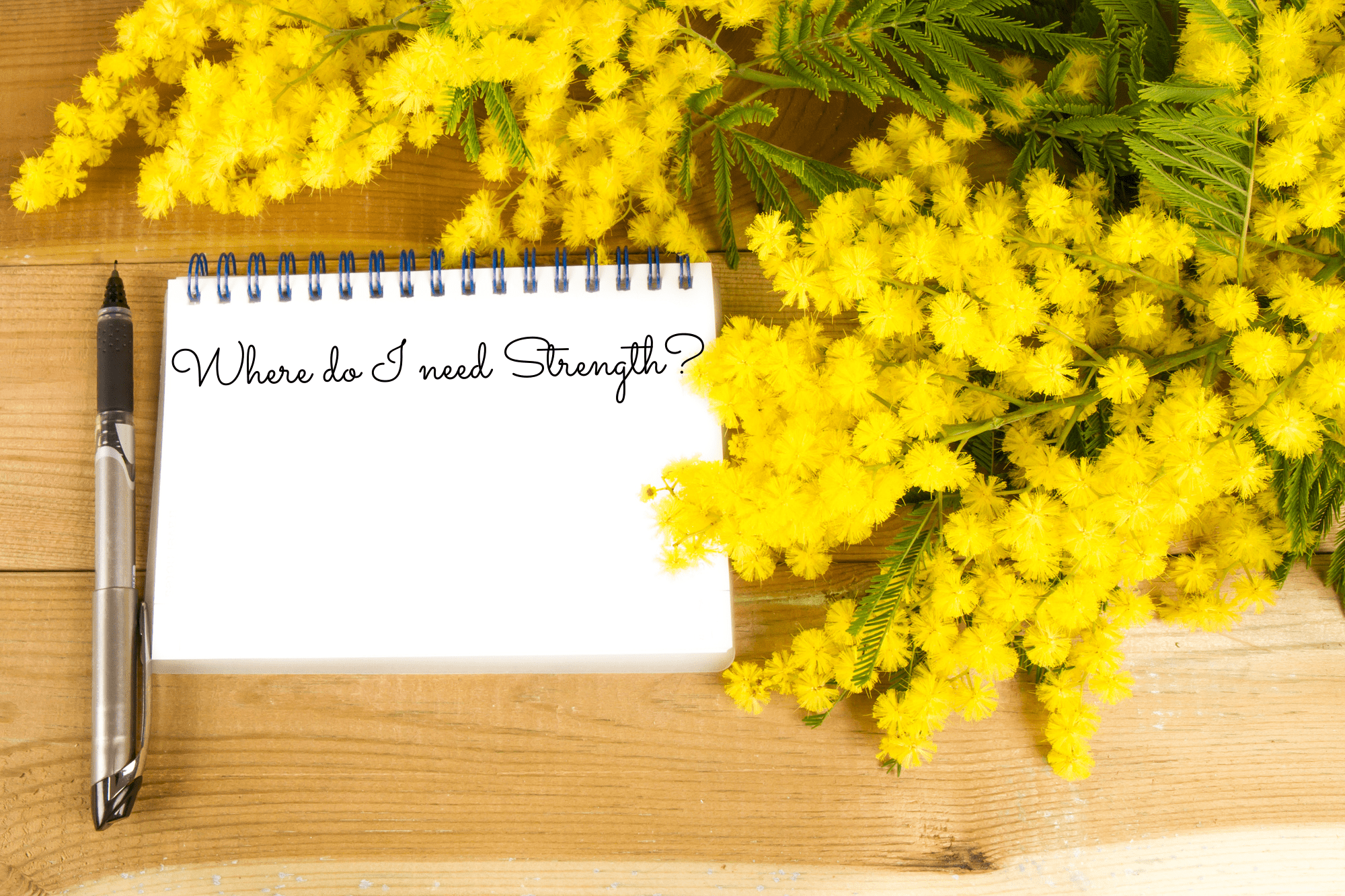 Why strength is an important resource for change | Deb Johnstone